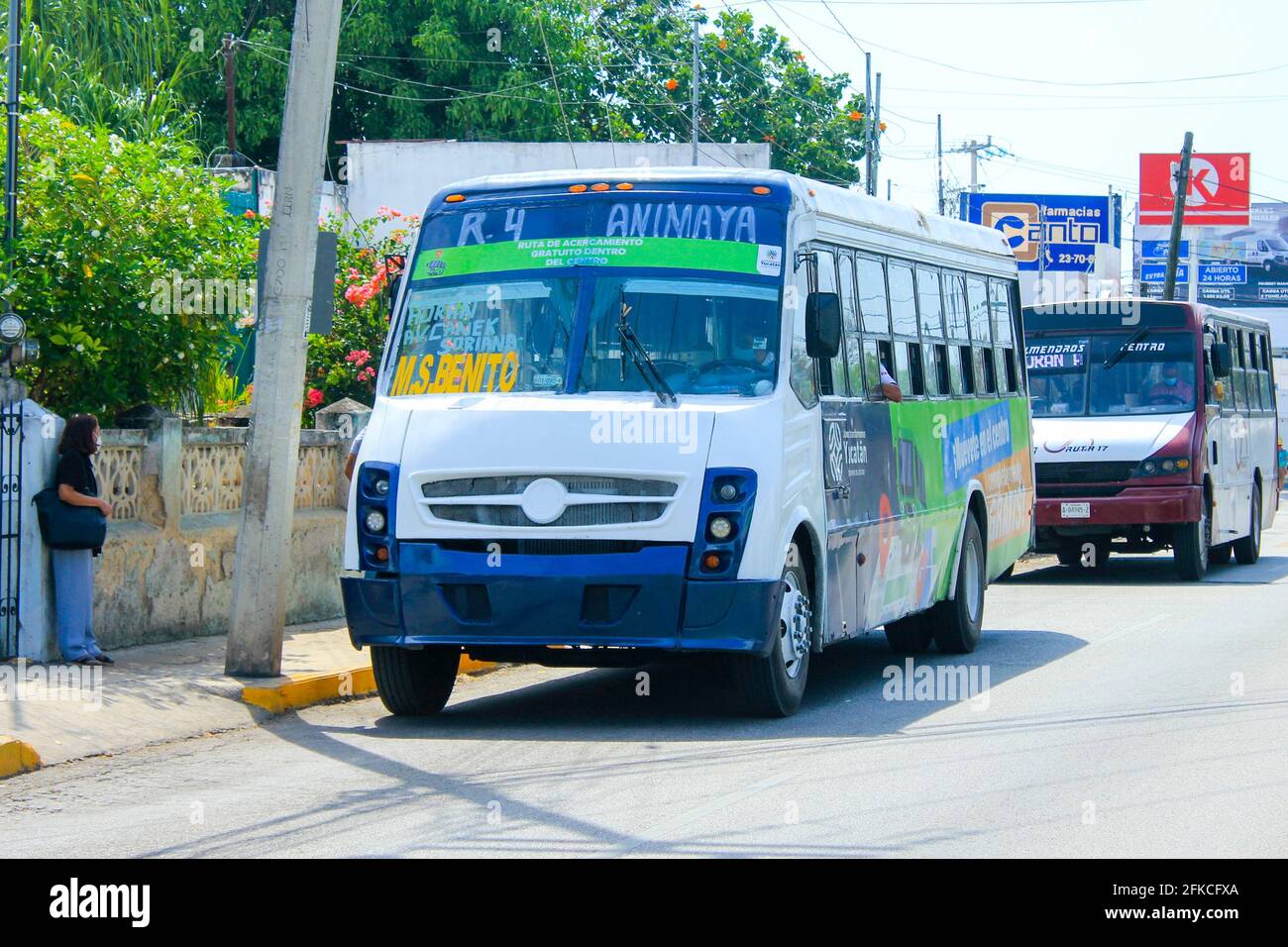 Buses operating the Covid-19 pandemic, Merida Mexico Stock Photo - Alamy