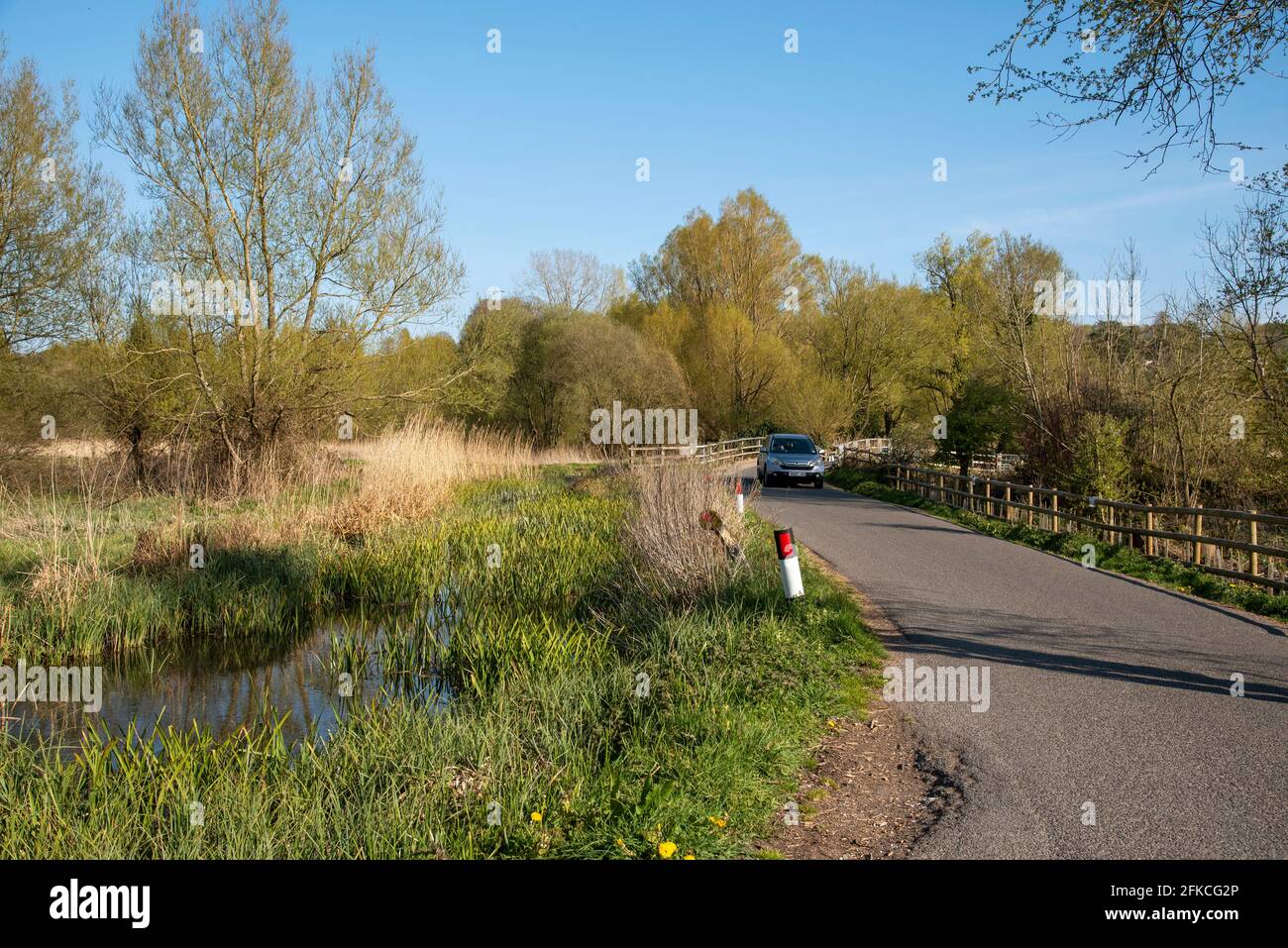 English country lane in spring hi-res stock photography and images - Alamy