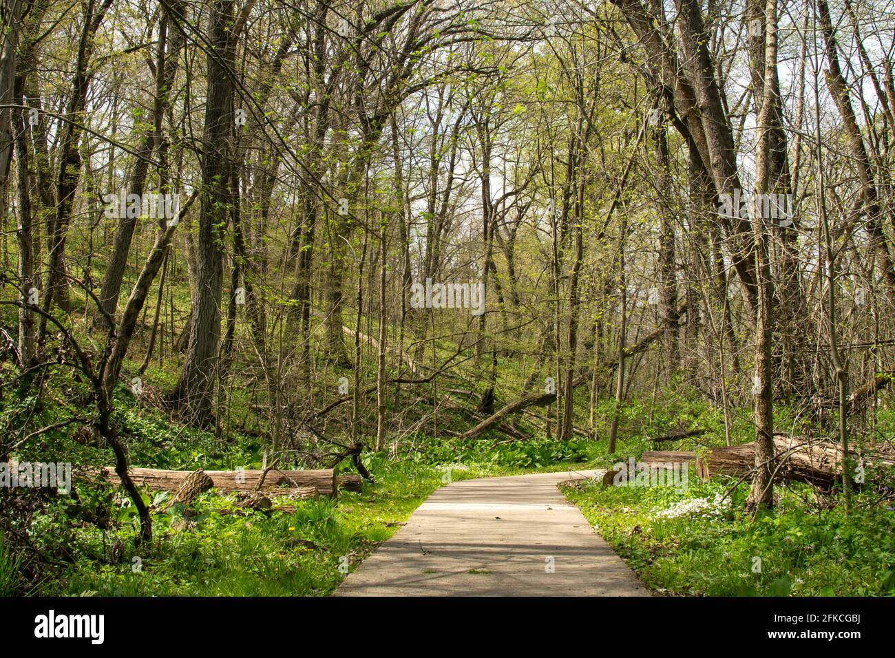 Hiking trails around the Franklin Creek state nature area in the spring ...