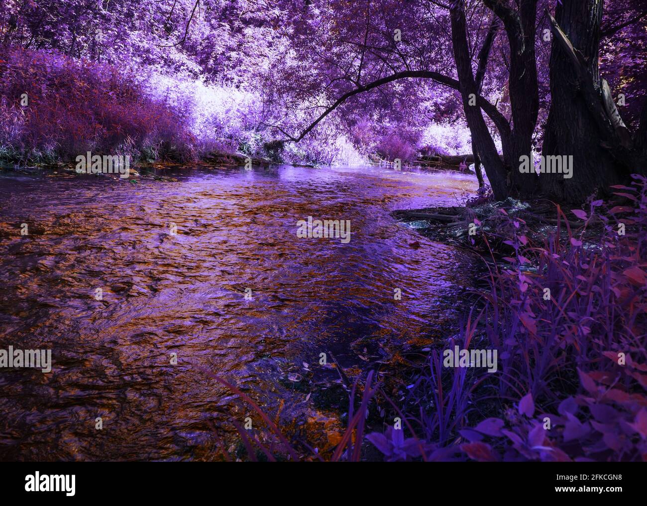 Abstract purple forest and a small river, a fantasy landscape Stock ...