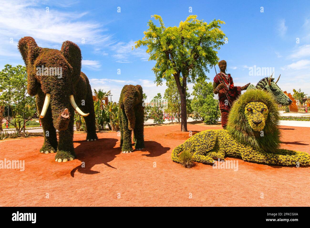 Lion Made Of Plants