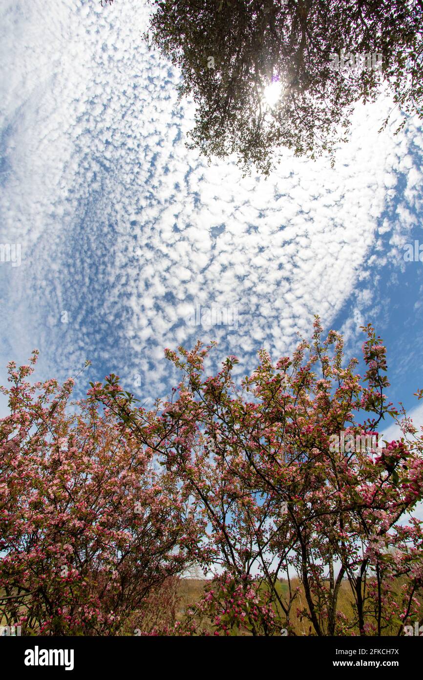 Cielo super hi-res stock photography and images - Alamy