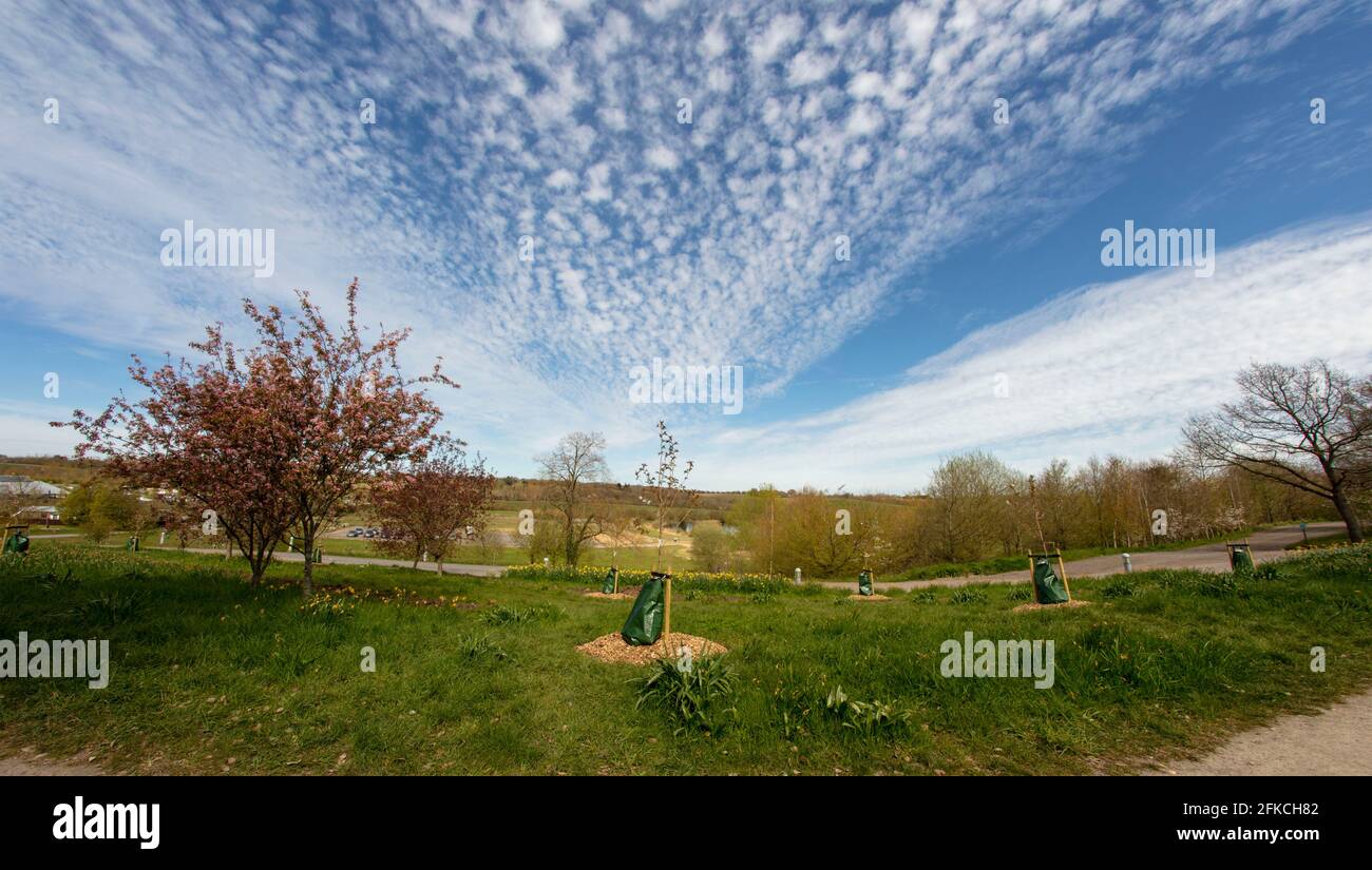 Cielo super hi-res stock photography and images - Alamy