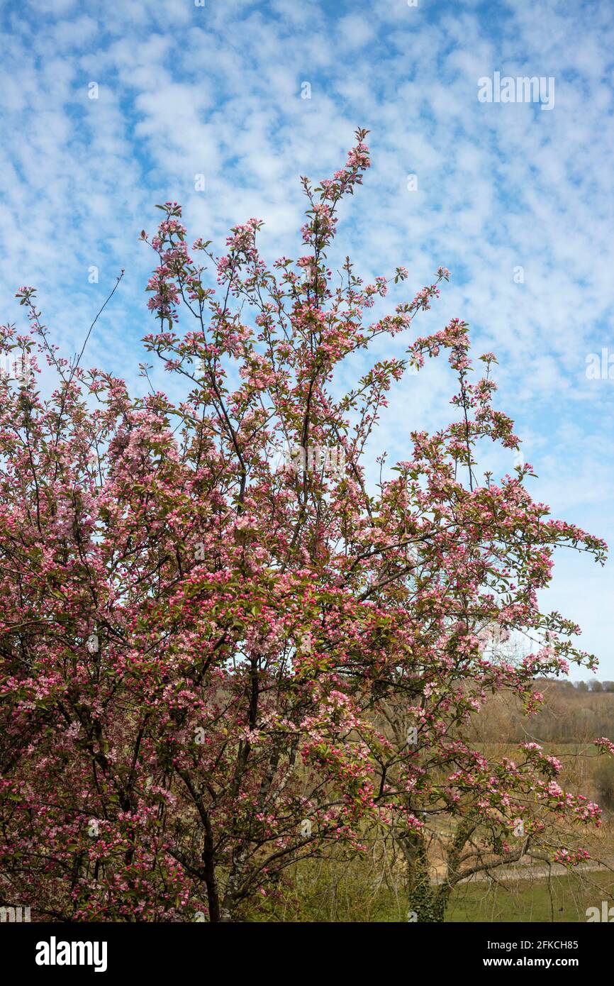Cielo super hi-res stock photography and images - Alamy