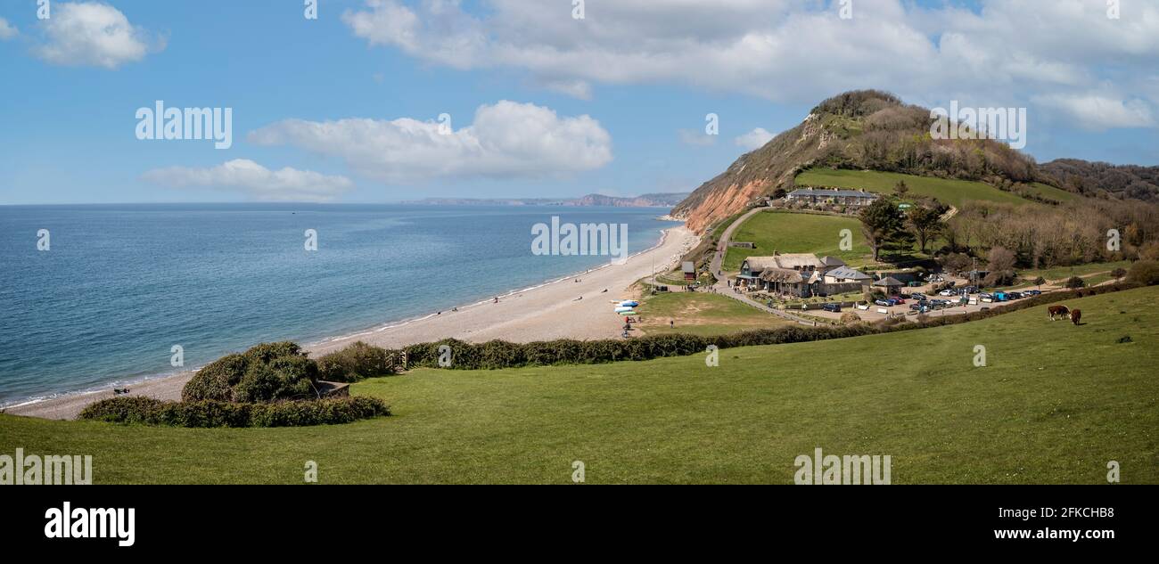 Panoramic landscape looking down at Branscombe beach and coastline in ...