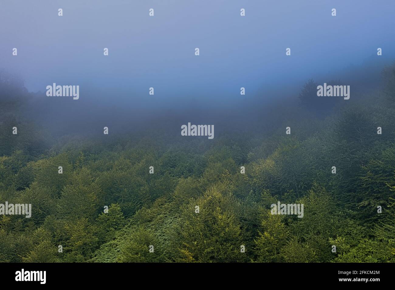 Mountains in Goderdzi, Adjara, Georgia Stock Photo - Alamy