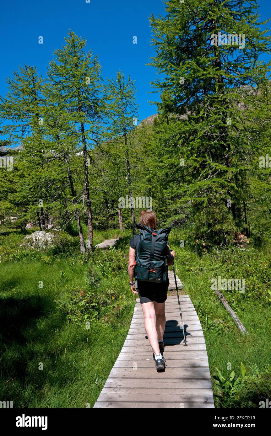 Hiking in Martello Valley (Martelltal), Bolzano, Trentino-Alto Adige ...