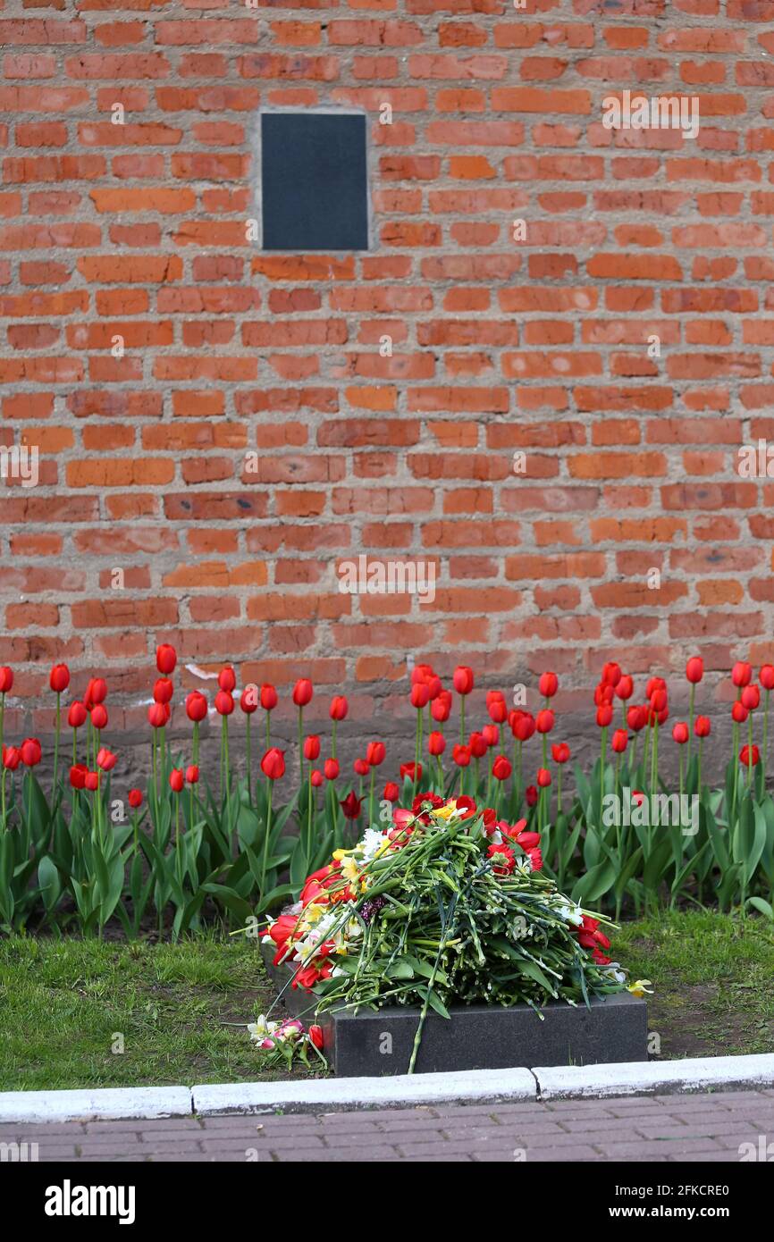 flowers at the memorial fire. the memory of the fallen soldiers in the ...