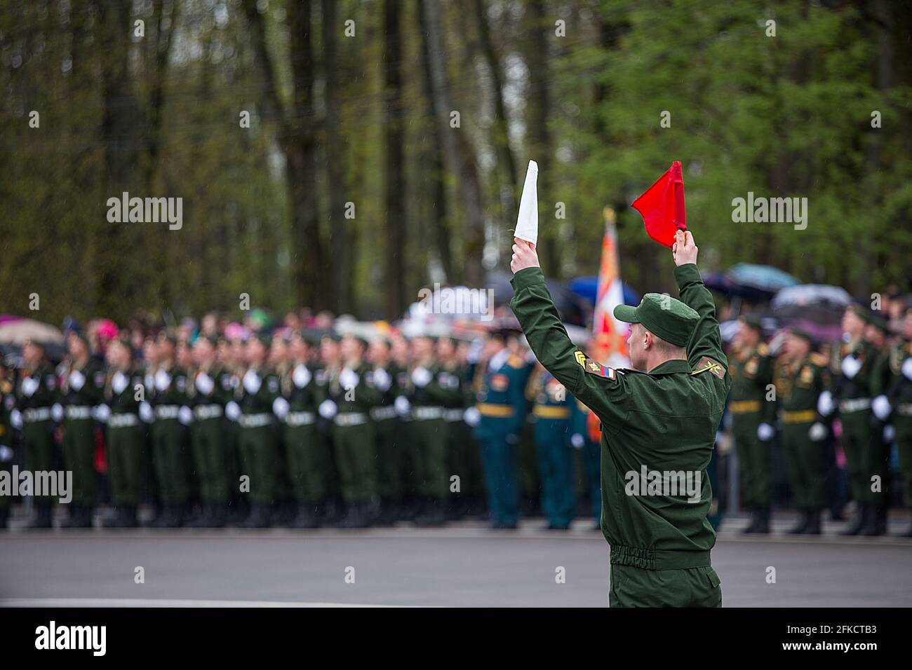 military holiday in city, parade of armed forces of country a solemn ...