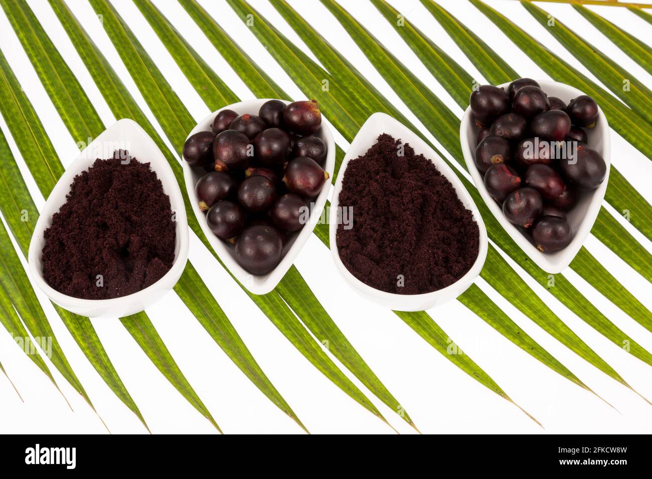 Acai palm tree hi-res stock photography and images - Alamy