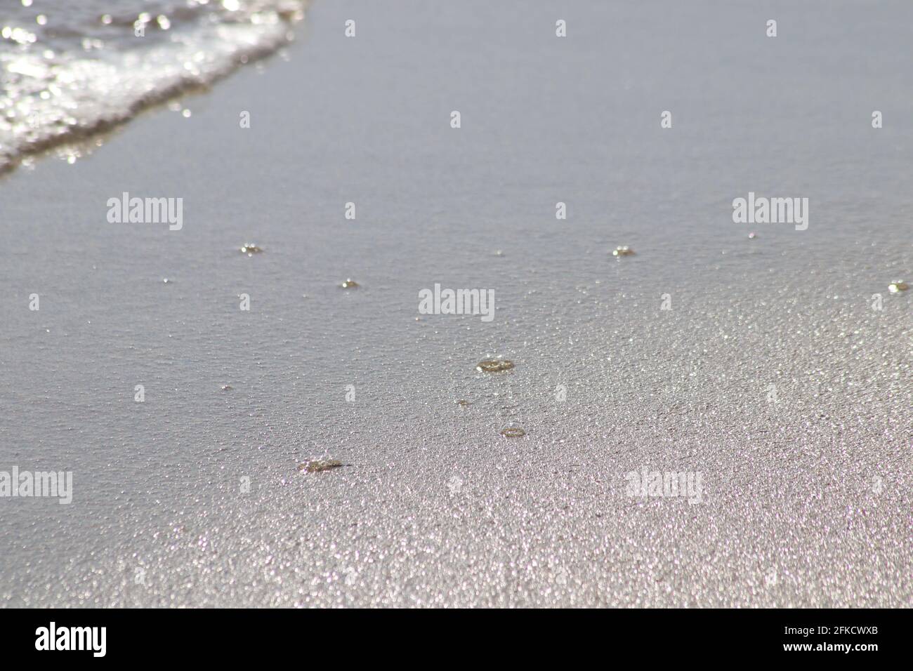Blue bubbles on beach Stock Photo - Alamy