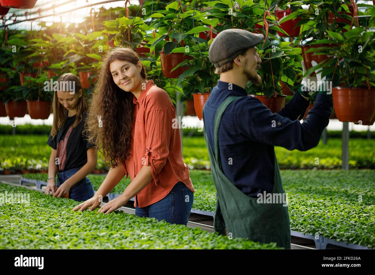Teamwork of male and female gardeners in the sunny greenhouse. Young ...