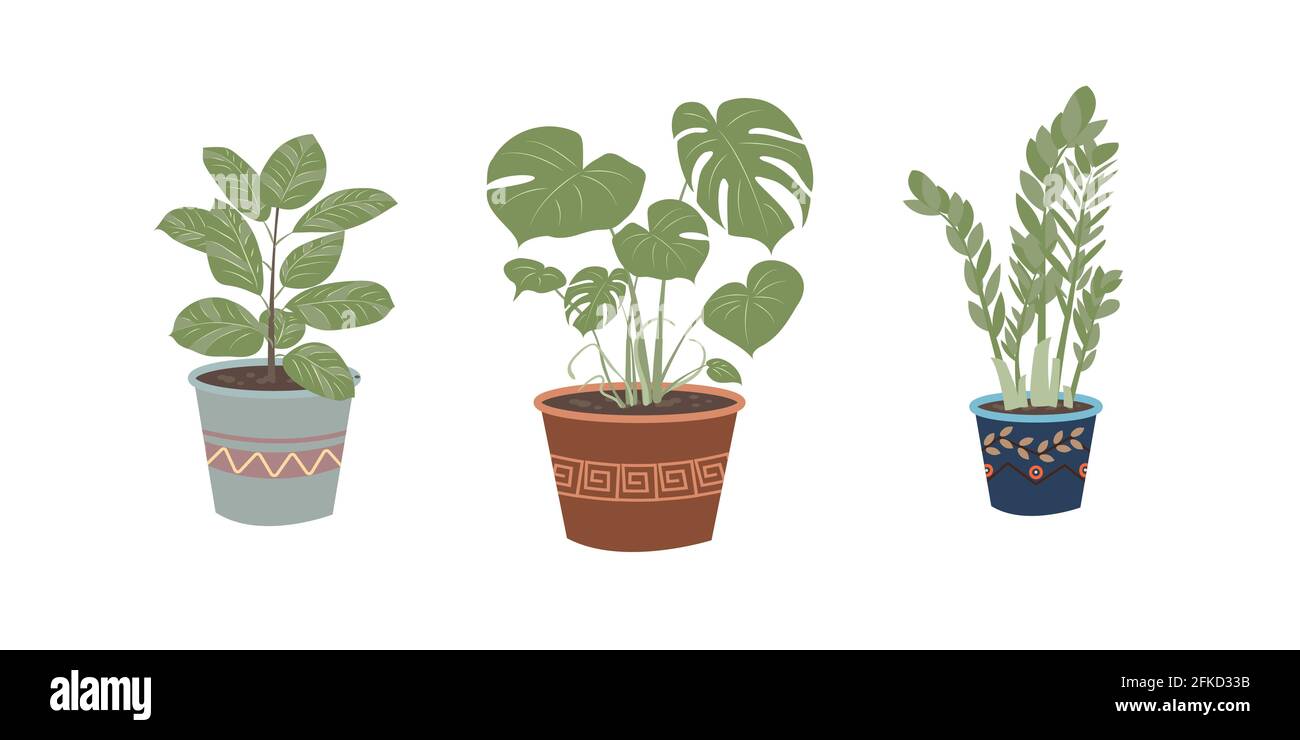 Monstera leaf flat cartoon Cut Out Stock Images & Pictures - Alamy