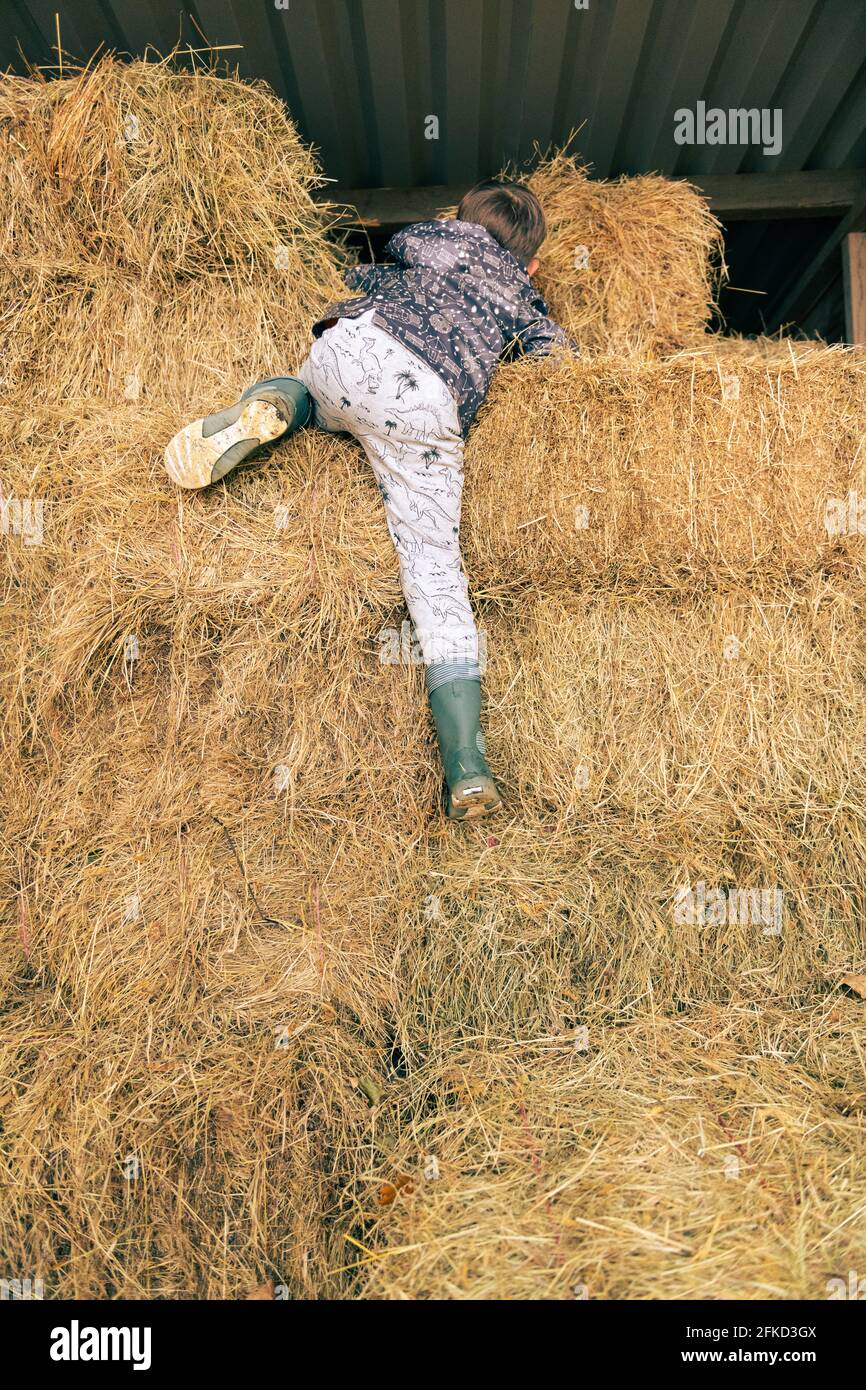 UK, Hampshire, New Forest Farm, Rear view of boy climbing haystack ...