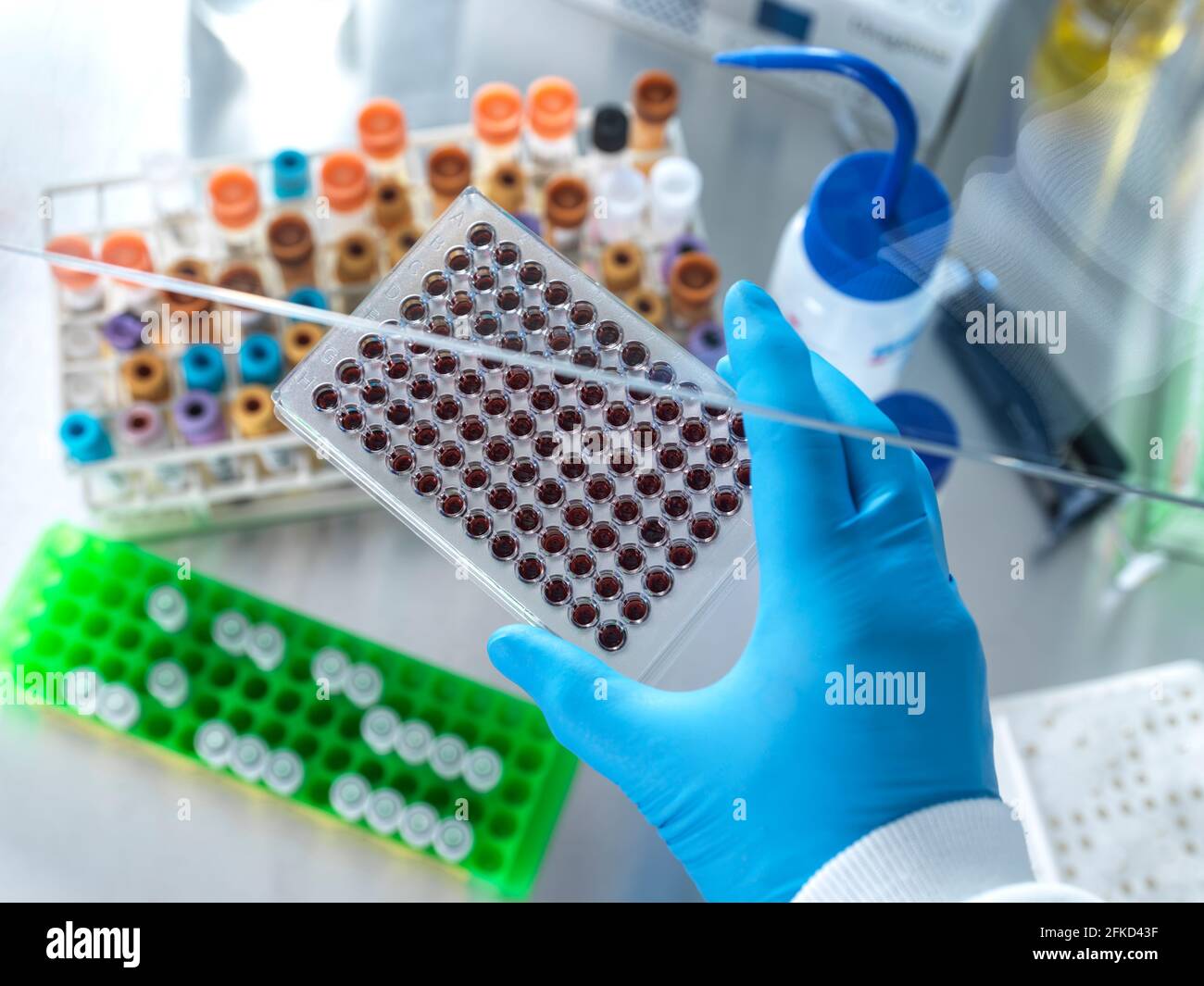 Multiwell plate hi-res stock photography and images - Alamy