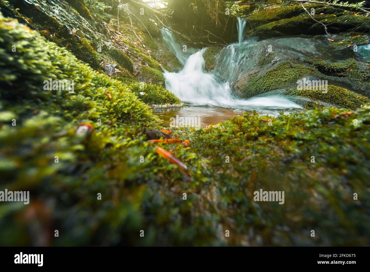 Water stream cascades with green moss Stock Photo - Alamy