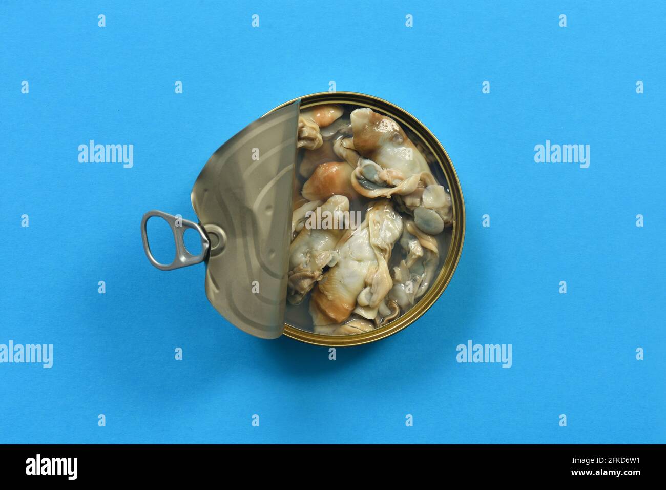 can of razor shells on blue background Stock Photo - Alamy