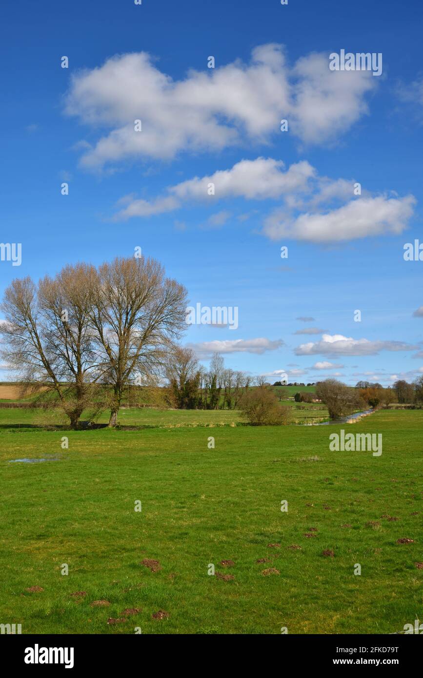 The River Tarrant at Tarrant Rawston, Dorset. The river is running high ...