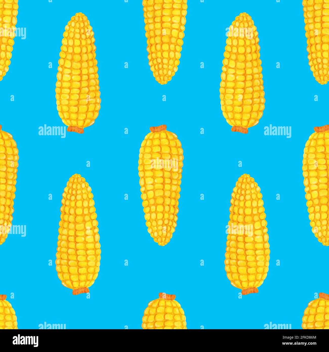 Maiz plant drawing hi-res stock photography and images - Alamy