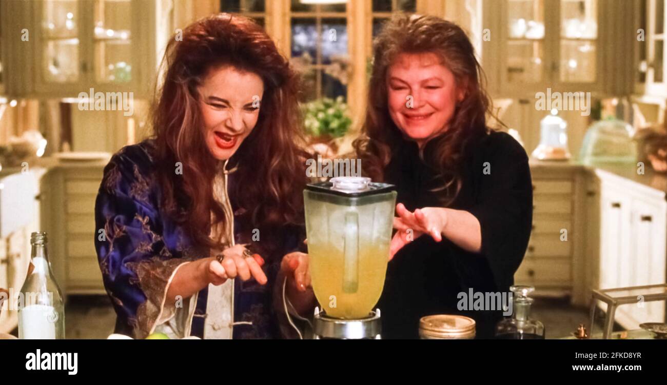 Dianne Wiest Practical Magic