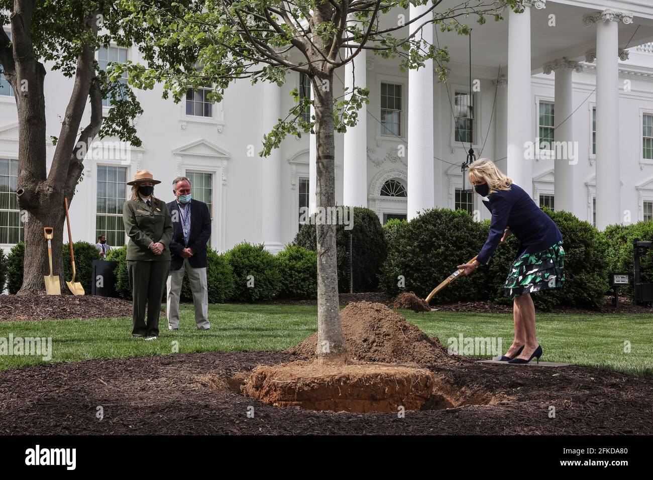First Lady Jill Biden plants a Linden Tree on the North Lawn of the ...
