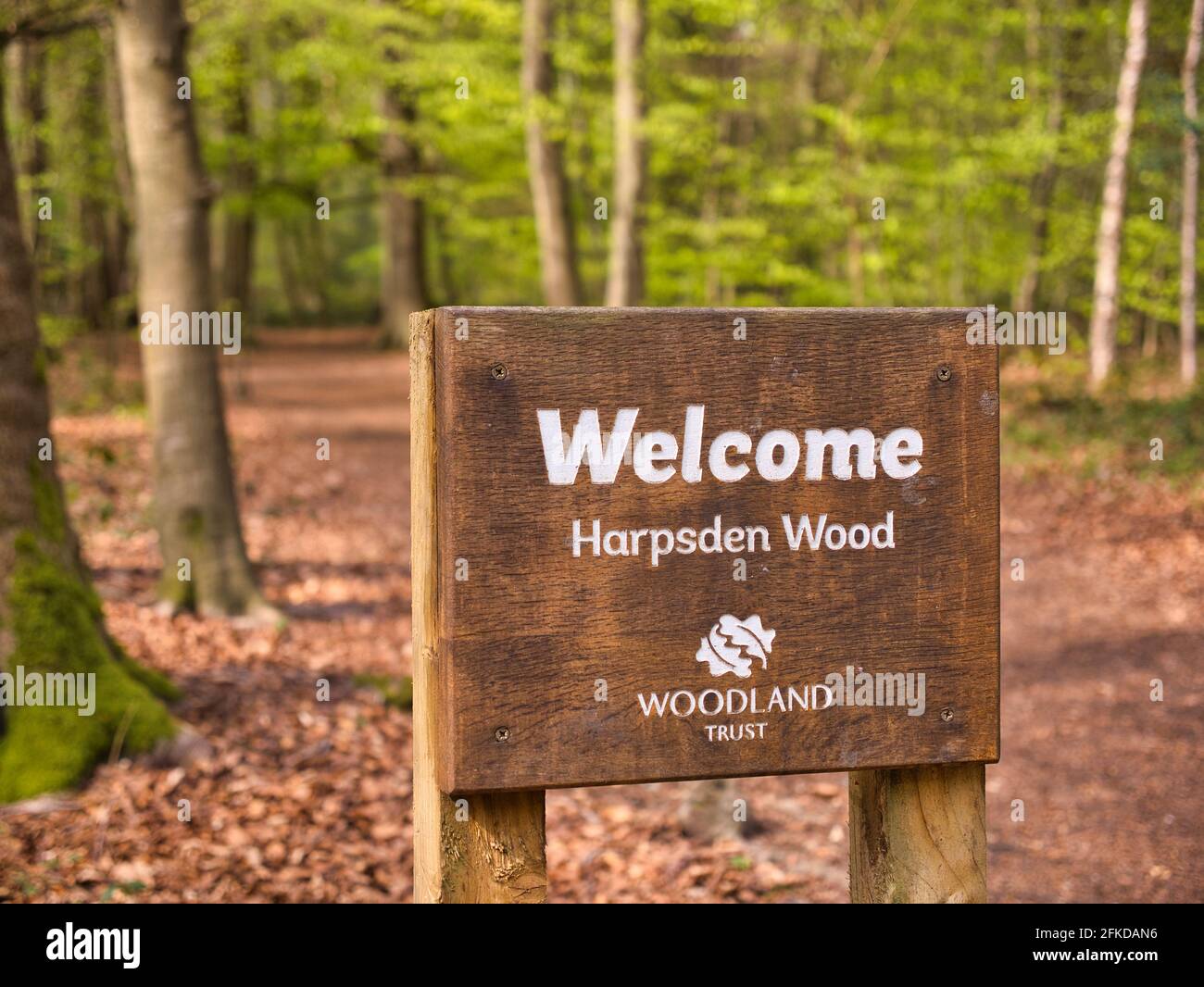 Harpsden henley on thames hi-res stock photography and images - Alamy