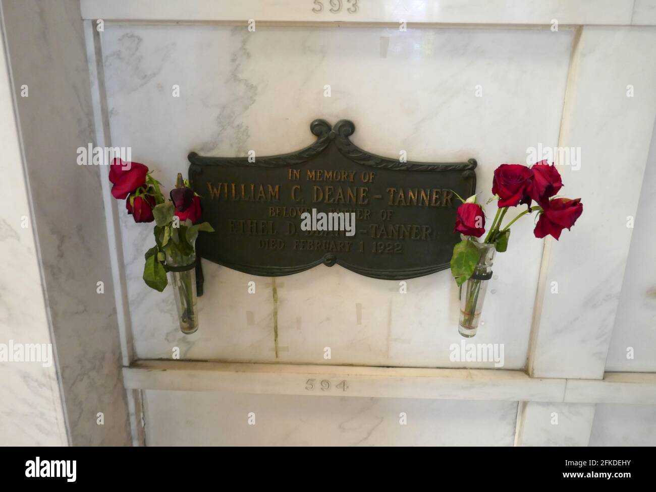 William cunningham deane tanner hi-res stock photography and images - Alamy