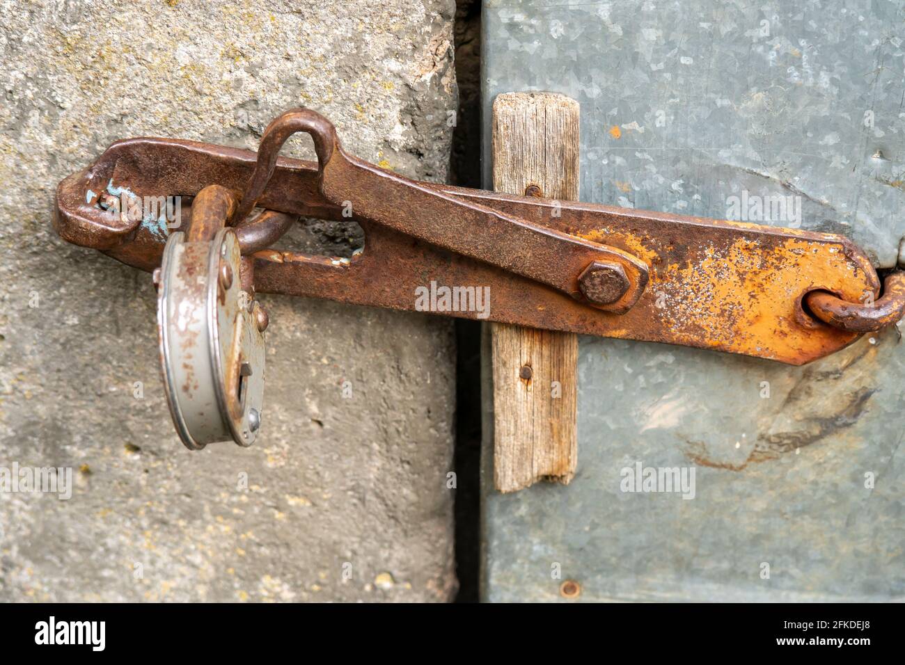 The padlock is hanging on the door. A large barn lock on a rusty door ...