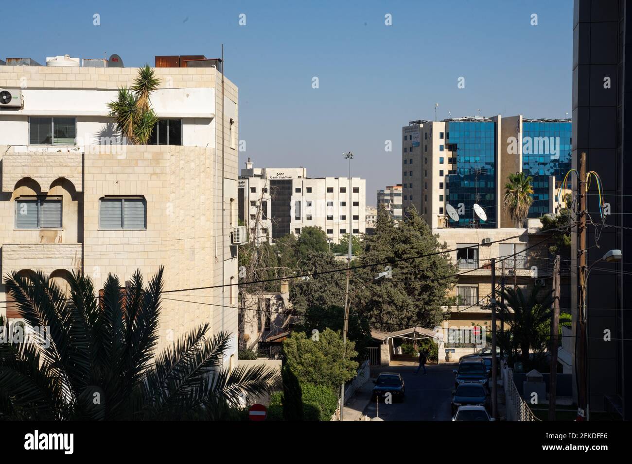 Backyards with evergreen trees in Amman, Jordan with old and new arabic ...
