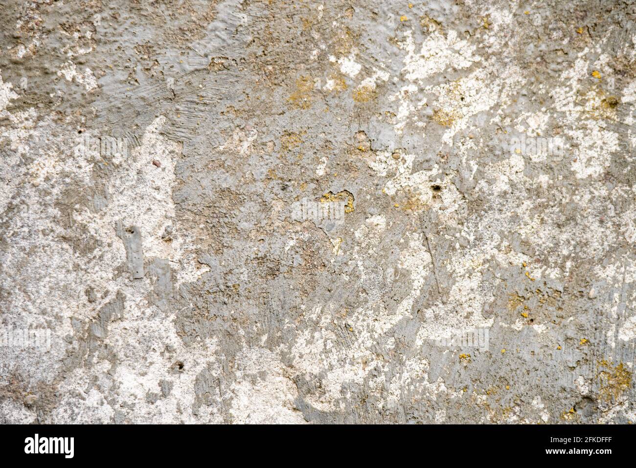 Rough stone texture. Concrete wall covered with moss, background for ...