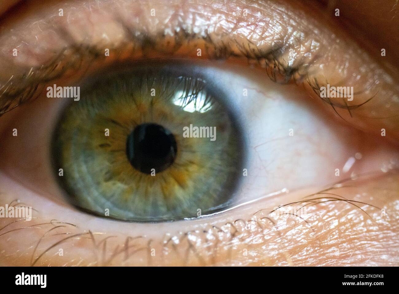 Female eye with eyelashes close-up, constricted pupil, eyeball close-up ...