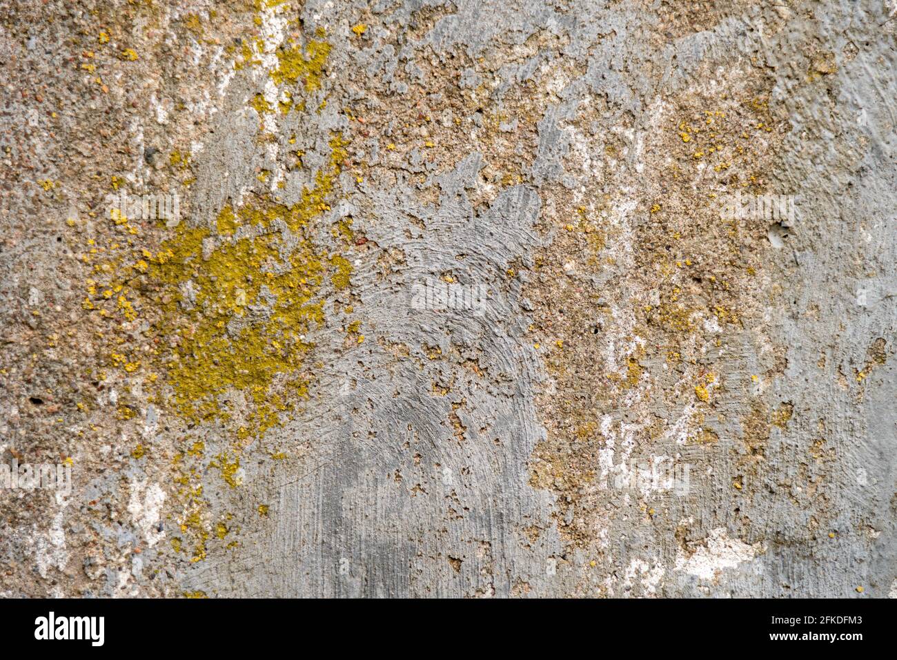 Concrete wall covered with moss, background for designer. Rough stone ...