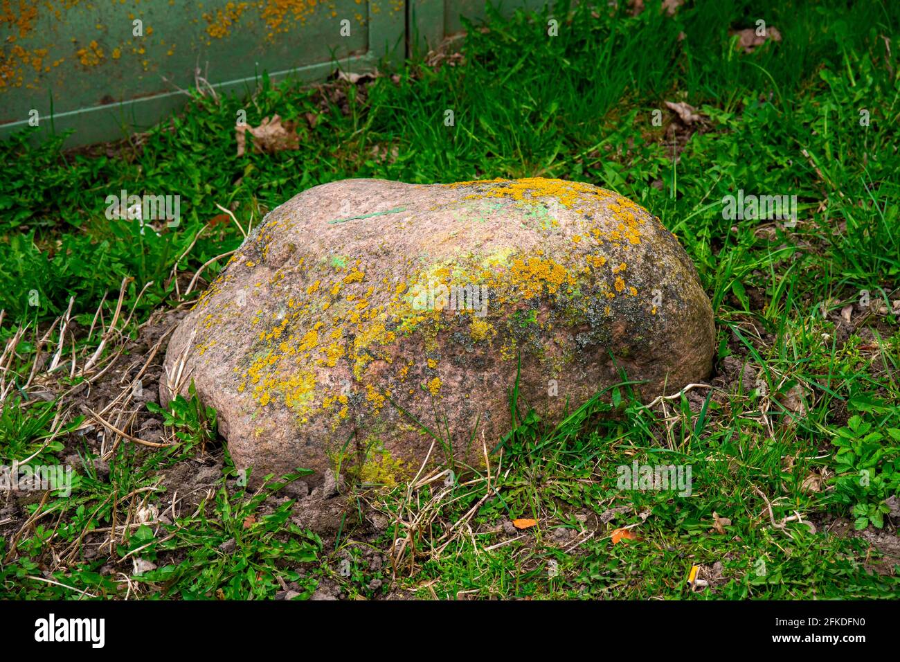 A large stone covered with moss lies in the grass. A huge boulder ...