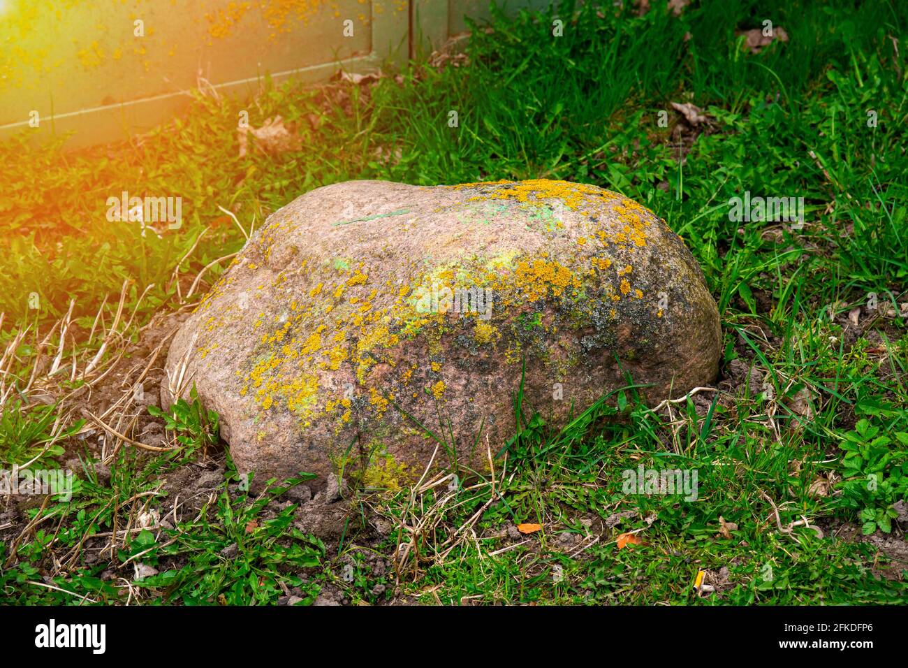 Overgrown stone texture hi-res stock photography and images - Alamy