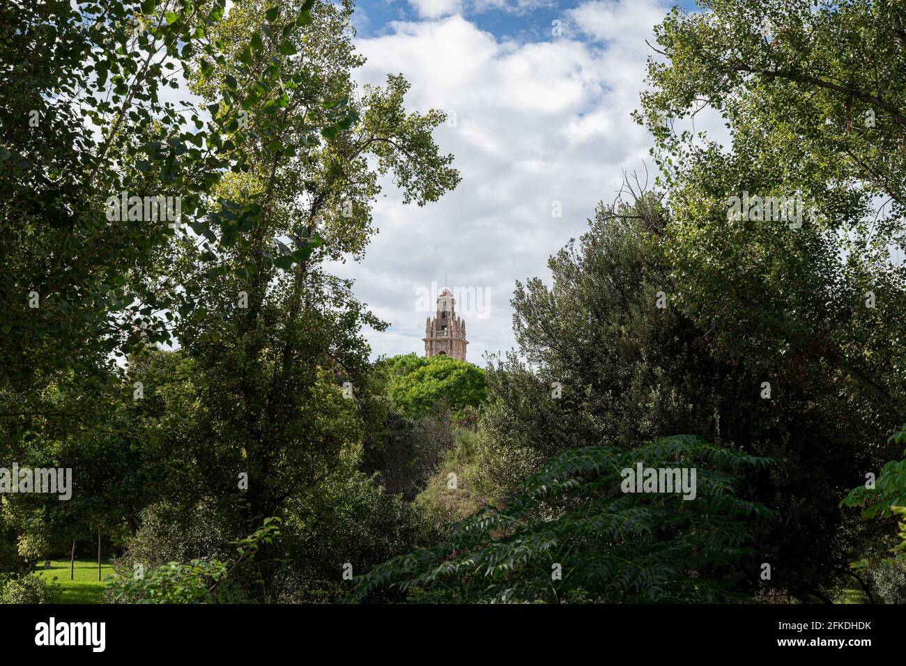 Building seen trough some big trees from old Turia riverbed. Valencia ...