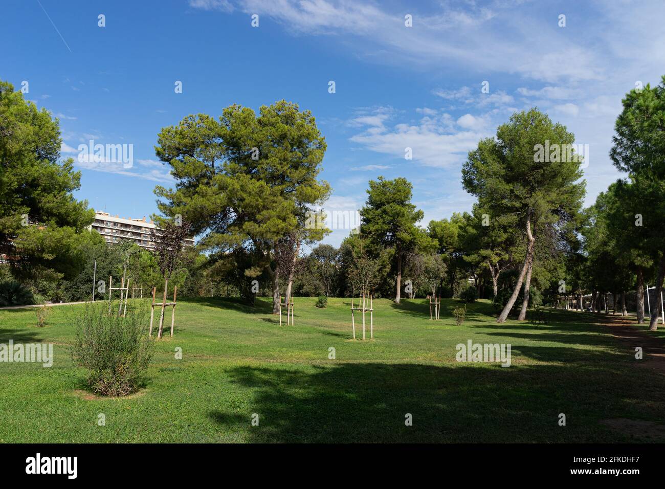 Beautiful green city park in the morning. Valencia, Spain Stock Photo ...