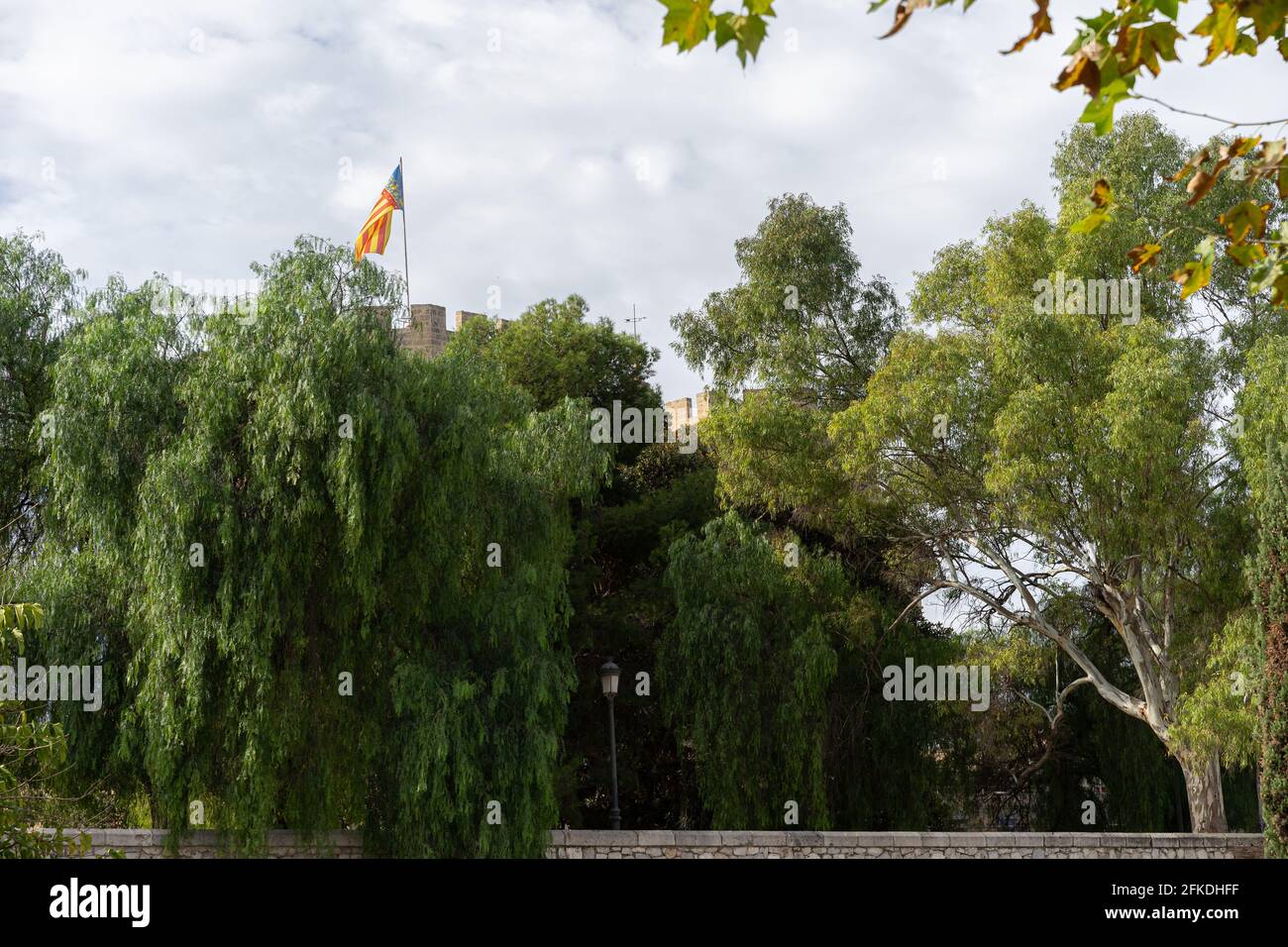 Church trough trees hi-res stock photography and images - Alamy