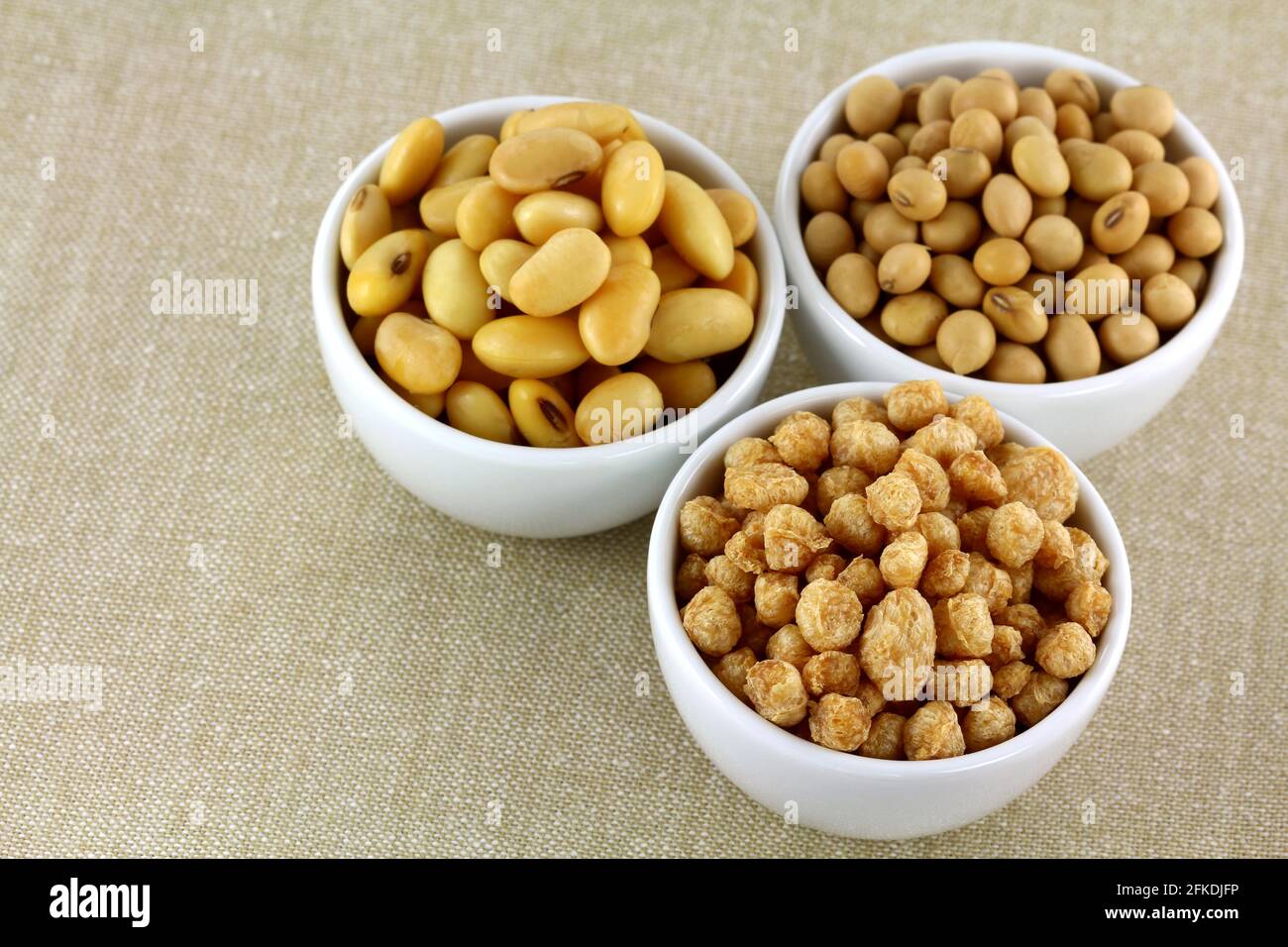Bowls of Soya Meat (Vegetarian Meat), Soaked Soybeans, Dried Soybeans ...