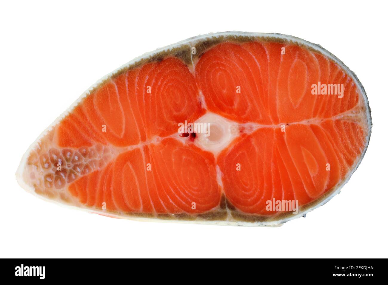 Closeup photography of raw salmon with skin isolated on a white ...