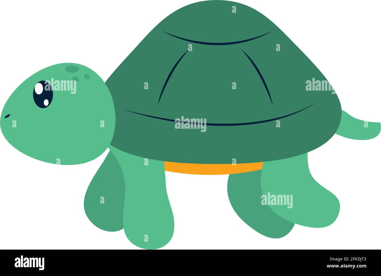 cute turtle on white background Stock Vector Image & Art - Alamy