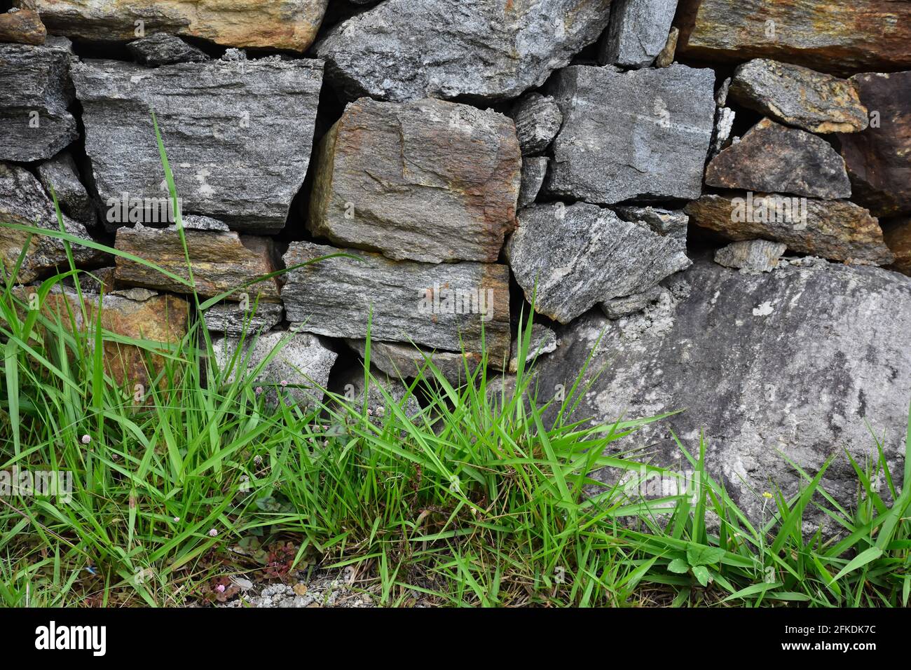 Flat grass texture hi-res stock photography and images - Alamy