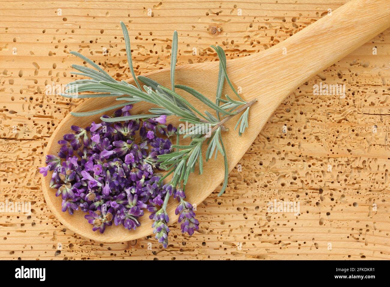 Lavender leaves hi-res stock photography and images - Alamy