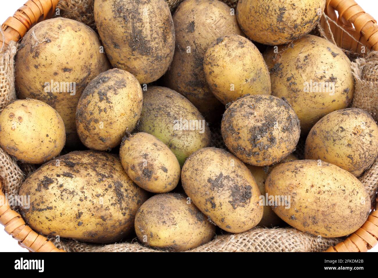 Nutrition full soil hi-res stock photography and images - Alamy