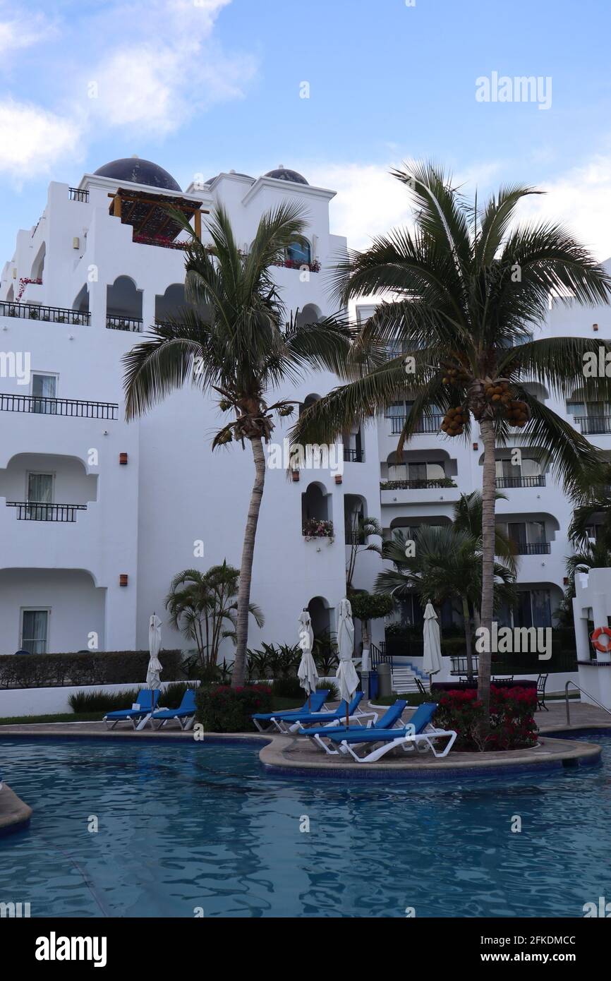 Vertical shot of luxurious pool with lounge chairs and palm trees in ...