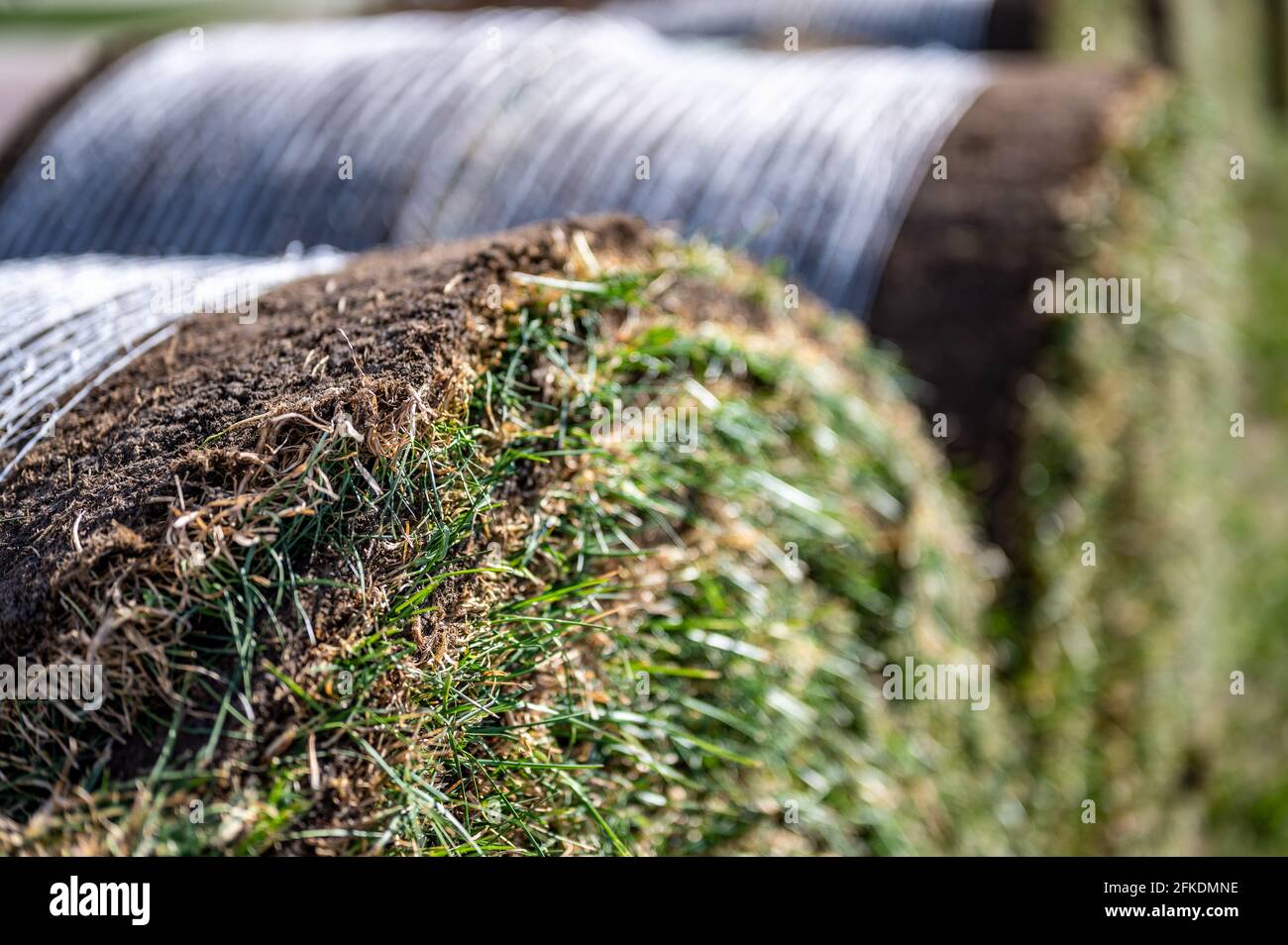 Roll of sod ready for installation at a construction site Stock Photo ...