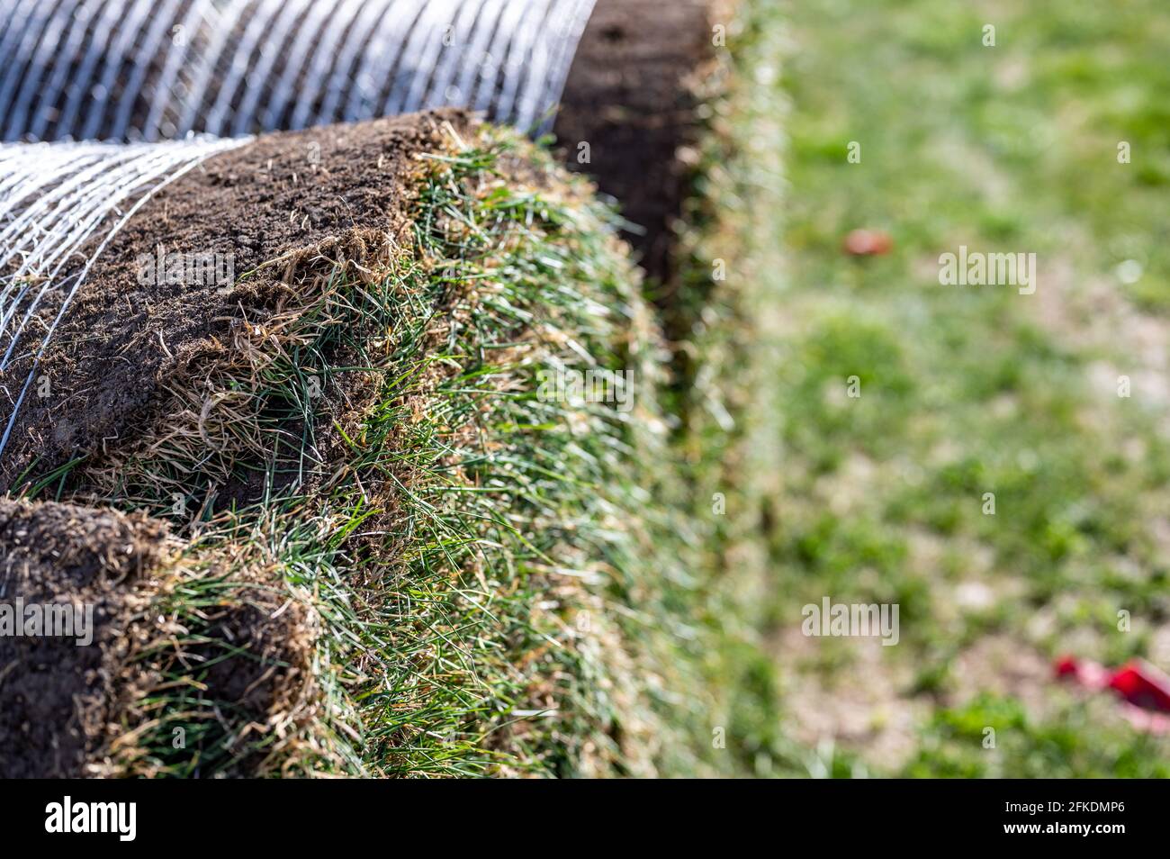 Roll of sod ready for installation at a construction site Stock Photo ...