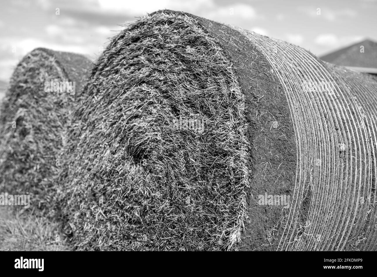 Laying garden turf Black and White Stock Photos & Images - Alamy
