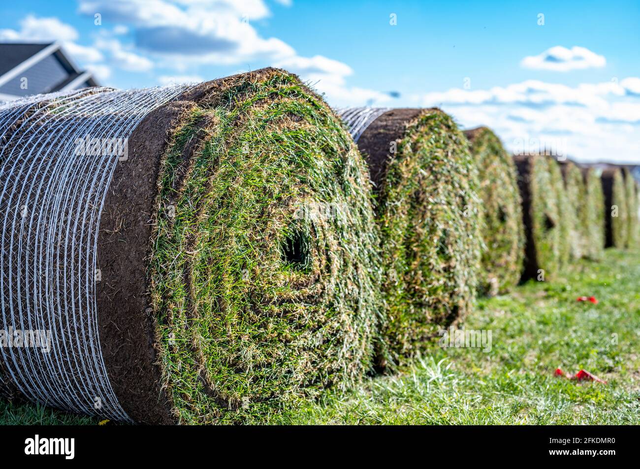 Roll of sod ready for installation at a construction site Stock Photo ...