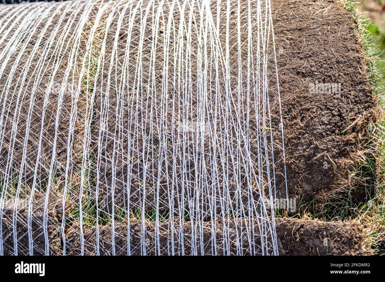 Roll of sod ready for installation at a construction site Stock Photo ...
