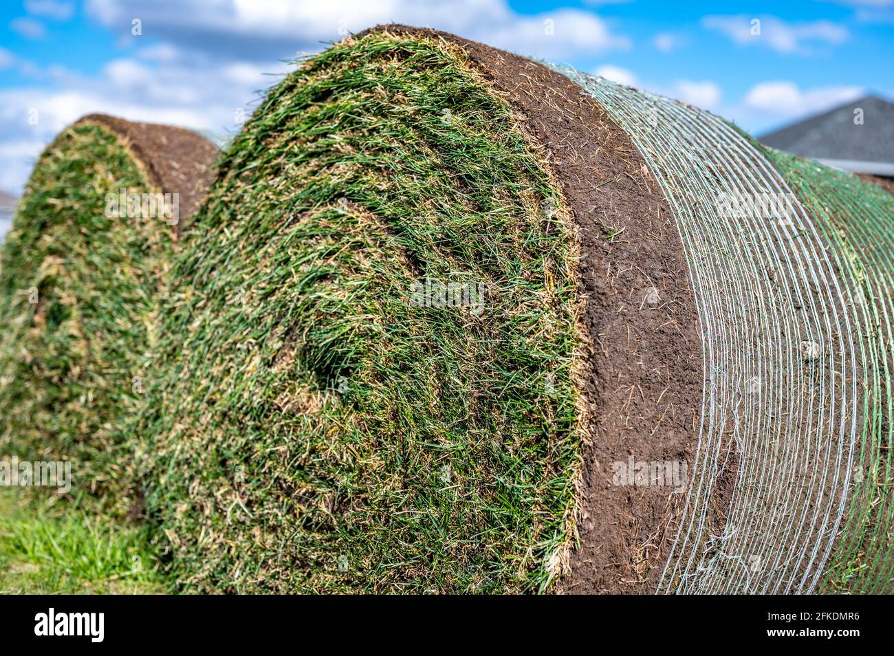 Roll of sod ready for installation at a construction site Stock Photo ...